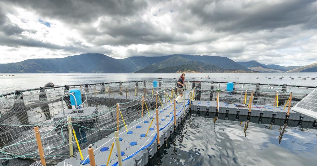 Gene-editing yet to become a game-changer for aquaculture | News ...