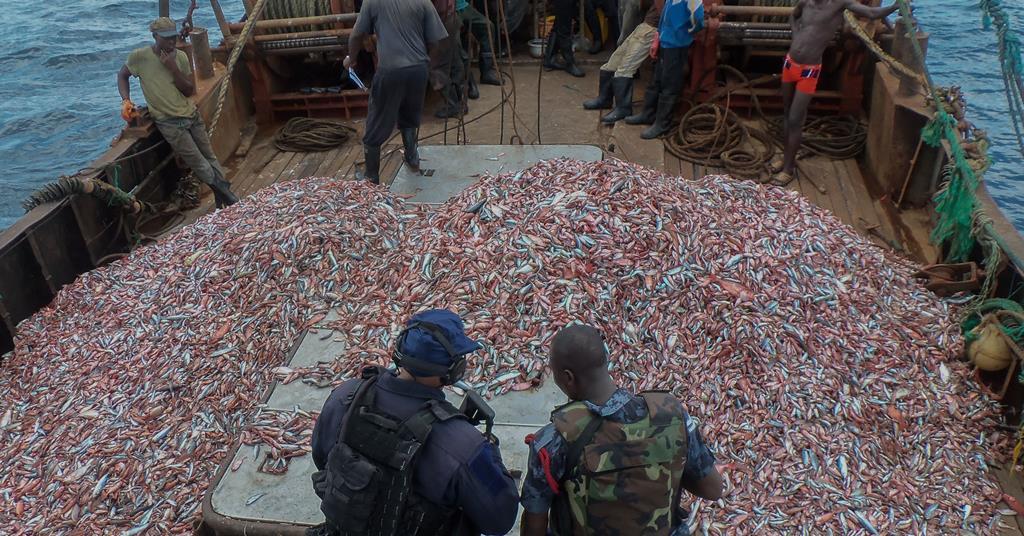 Illegal fishing crackdown | News | World Fishing
