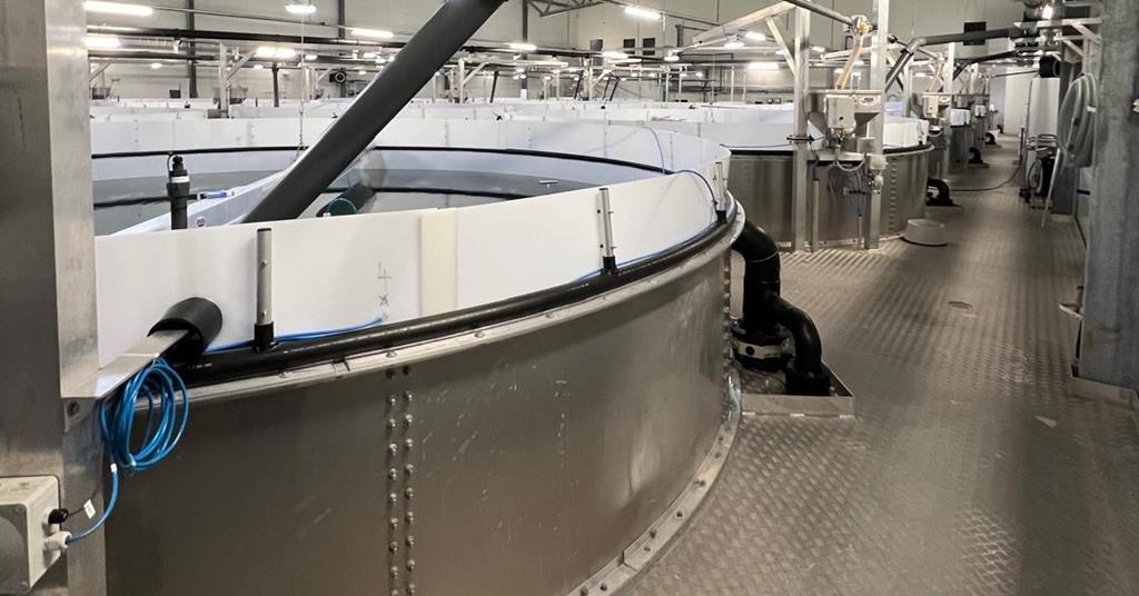 Norwegian RAS venture boosted by nanobubbles | News | World Fishing