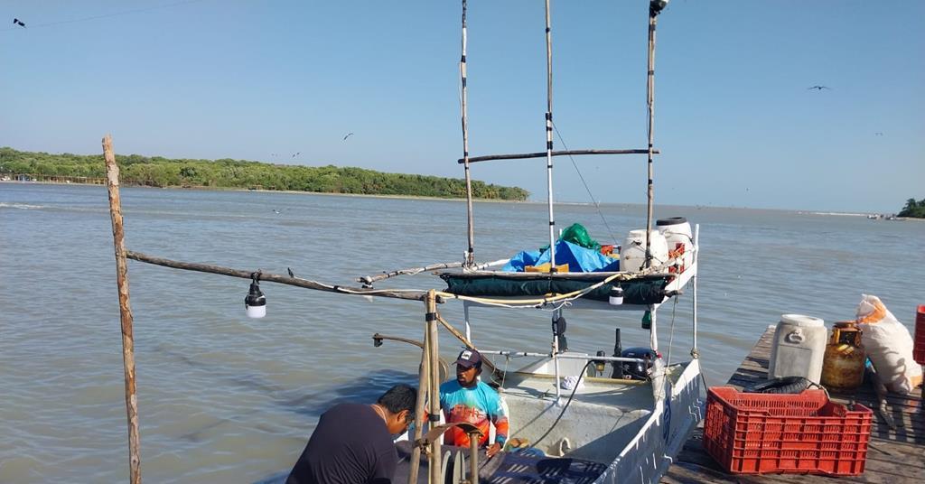Community Catch certification aiming to transform small-scale fisheries ...