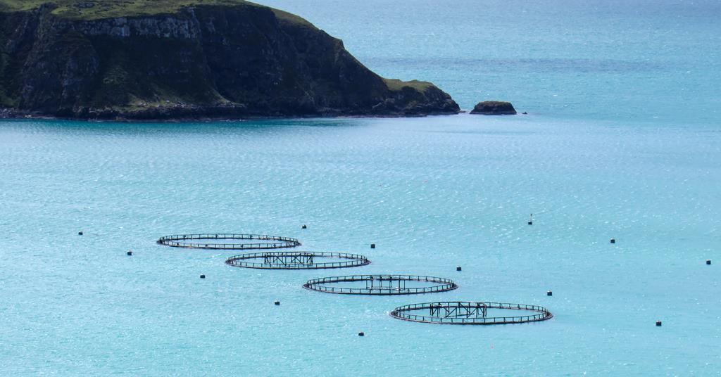 DNA modelling breakthrough for farm site seabed sampling | News | World ...