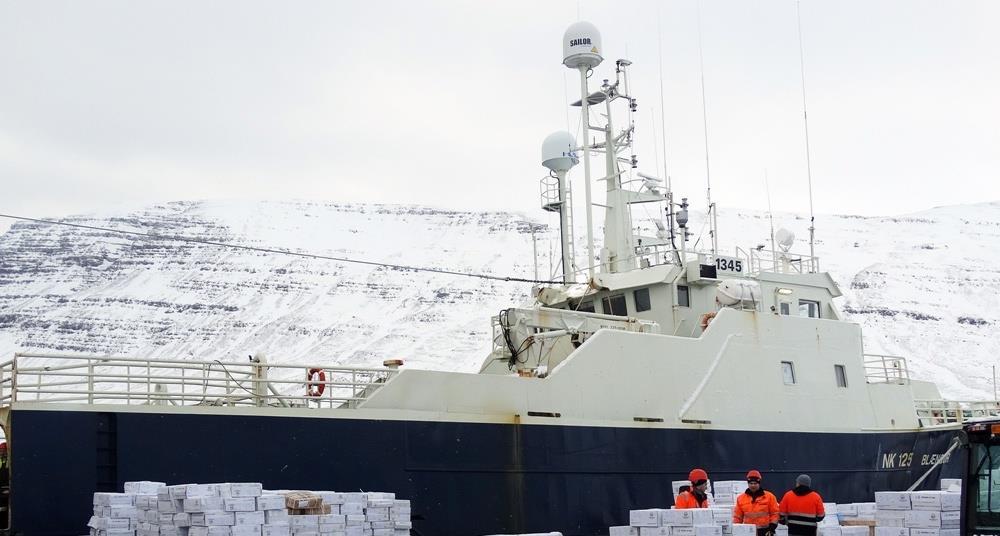 Tough going in heavy weather | News | World Fishing