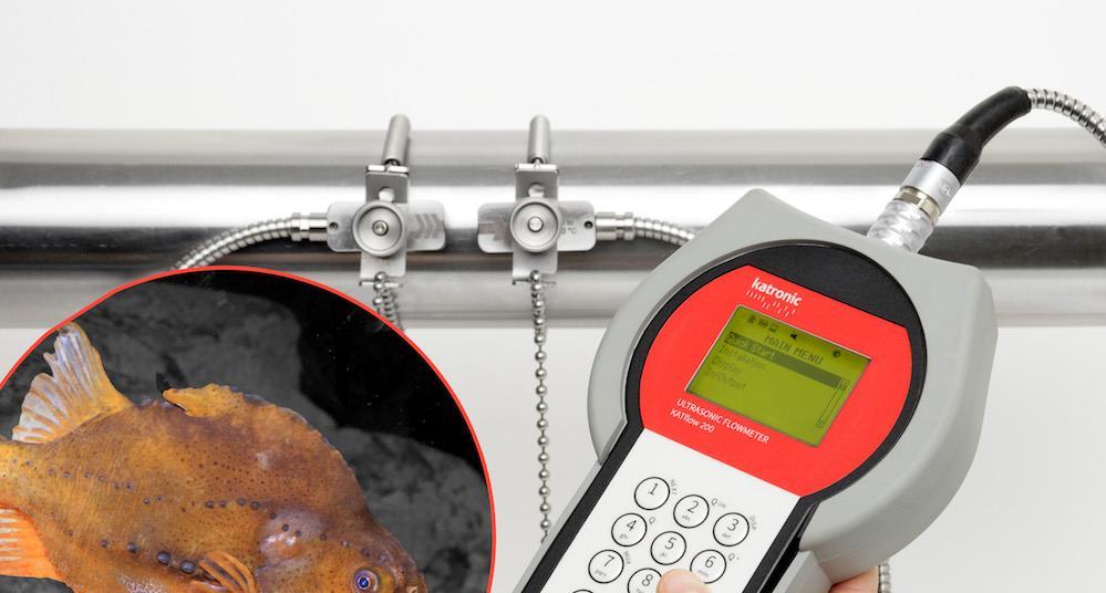 Katronic flow metering aids lumpfish facility | News | World Fishing
