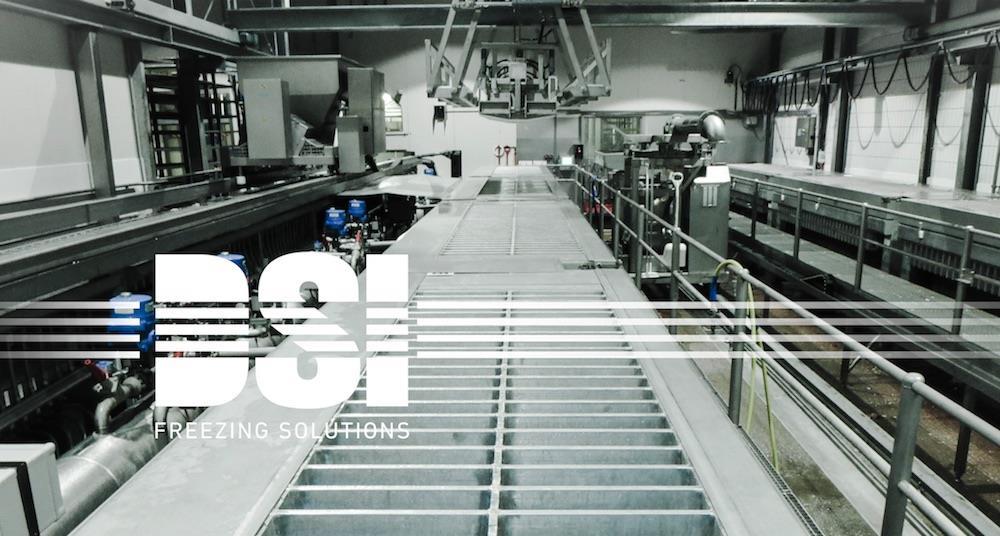 DSI acquires CES and Dantech | News | World Fishing