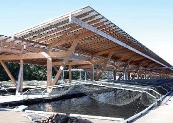 Fish farm or PV power plant? | News | World Fishing