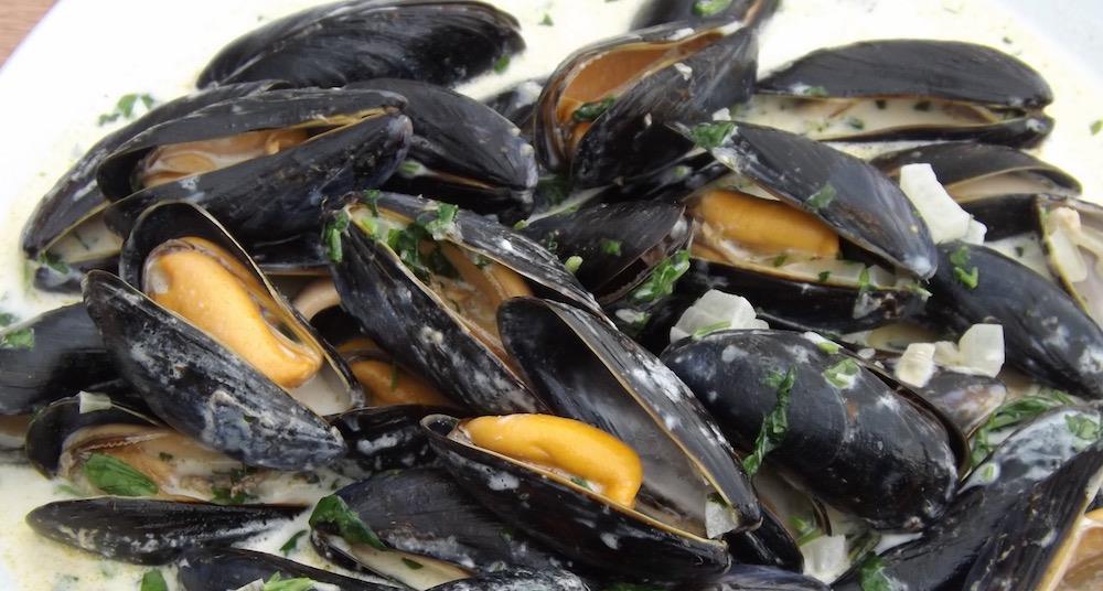 Where next for British shellfish? | News | World Fishing