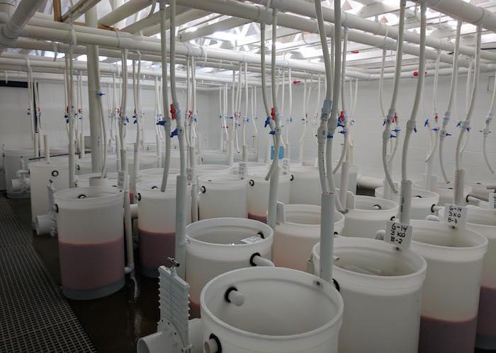 US trout incubation facility opened | News | World Fishing
