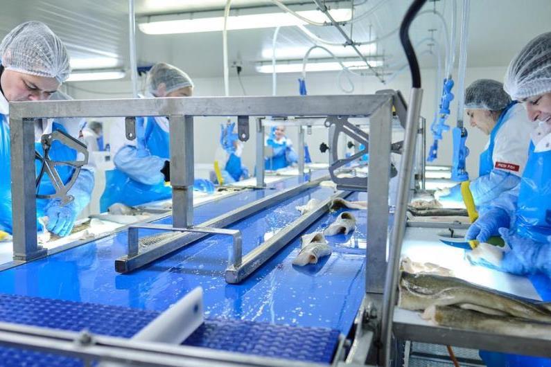 New sustainable whitefish processor for Scotland | News | World Fishing