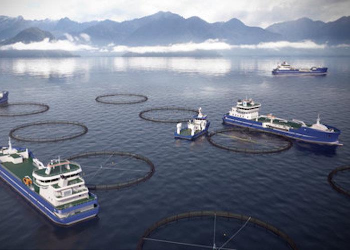 Live fish carriers for DESS Aquaculture | News | World Fishing