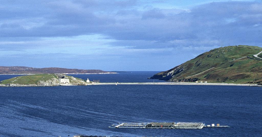 Chilean salmon facility gets BAP certified | News | World Fishing