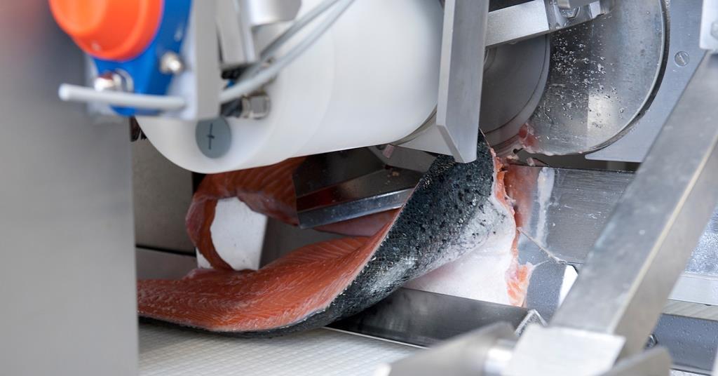 BAADER to show separator and filleting machine | News | World Fishing