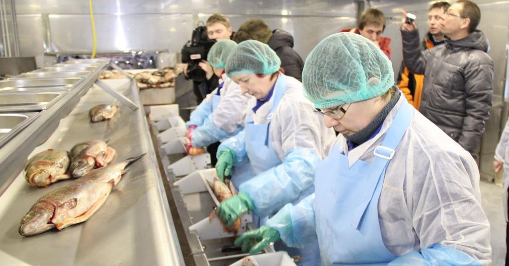 Russian processing struggling to keep its head above water | News ...