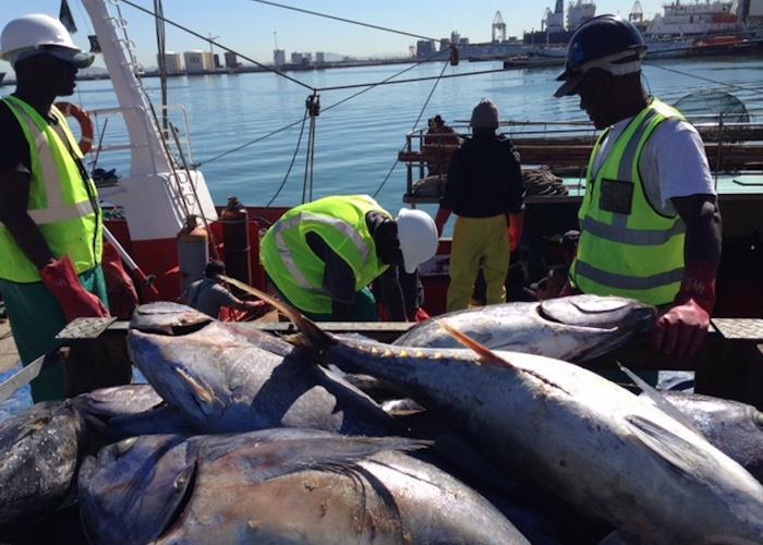 South African tuna industry supports IPNLF | News | World Fishing