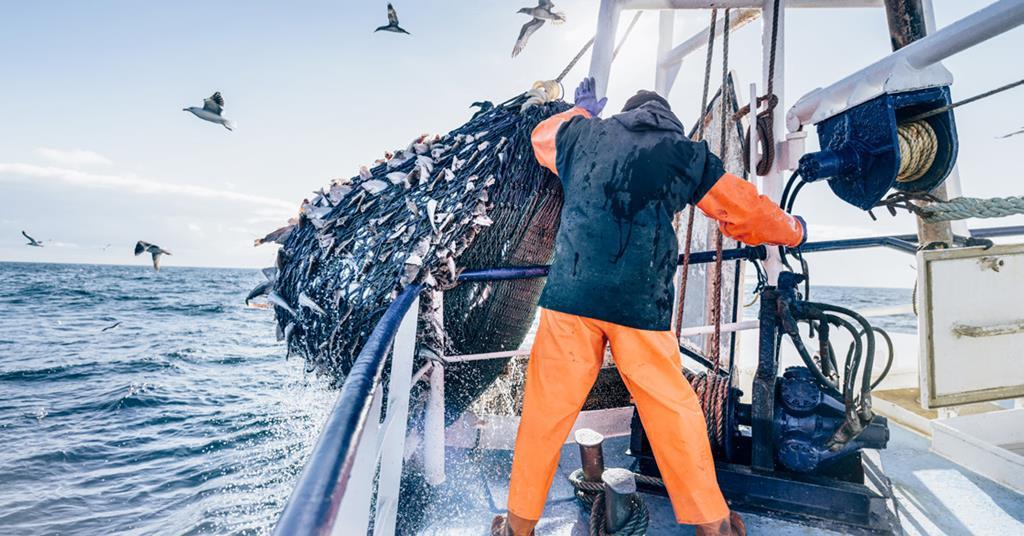 Connectivity Made Simple For Fishing | Sponsored | World Fishing