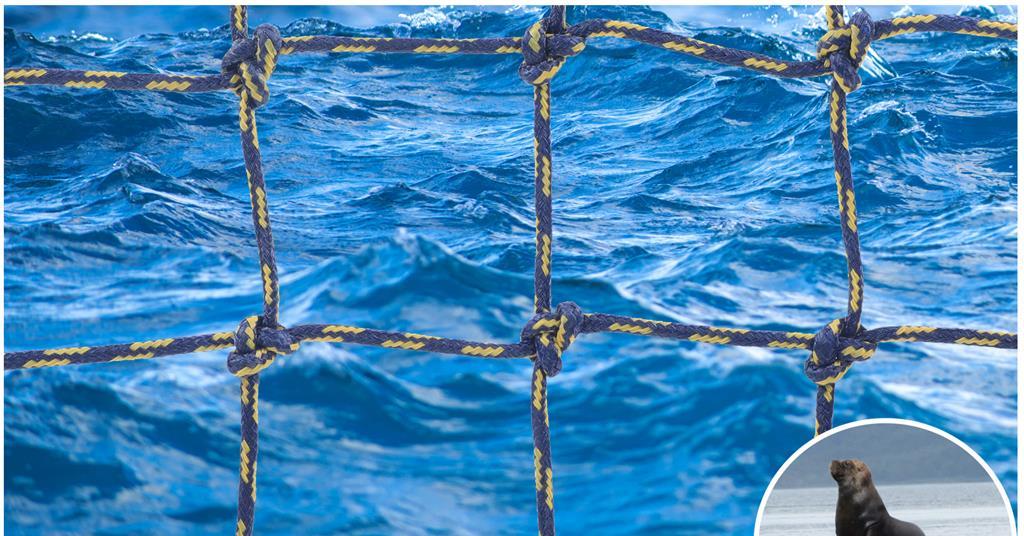 Better predator prevention | News | World Fishing