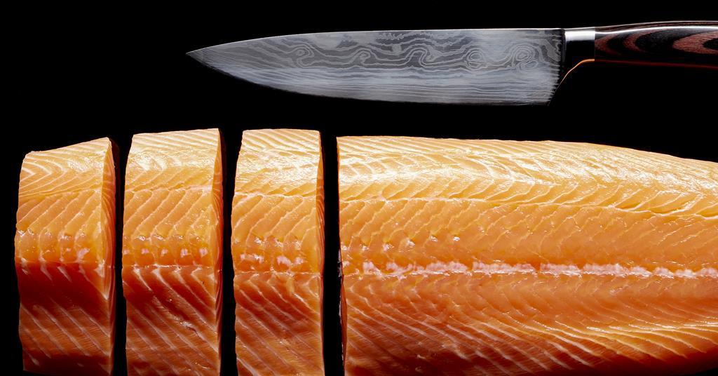 Insect feeds approved for Label Rouge salmon | News | World Fishing