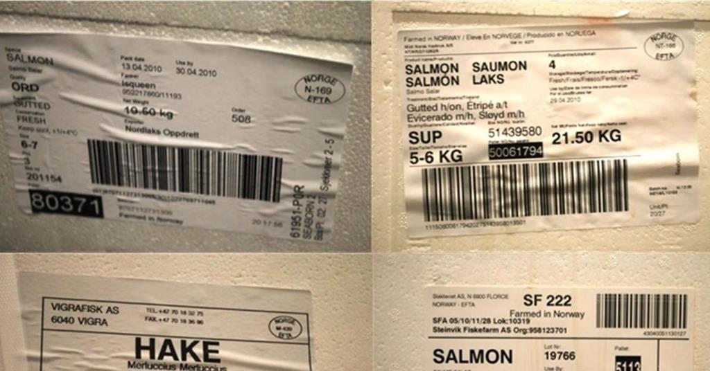 Norway launches new barcode standard | News | World Fishing