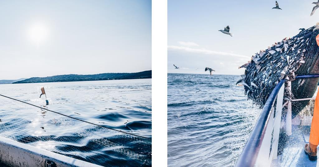 Connectivity Made Simple For Fishing | Sponsored | World Fishing