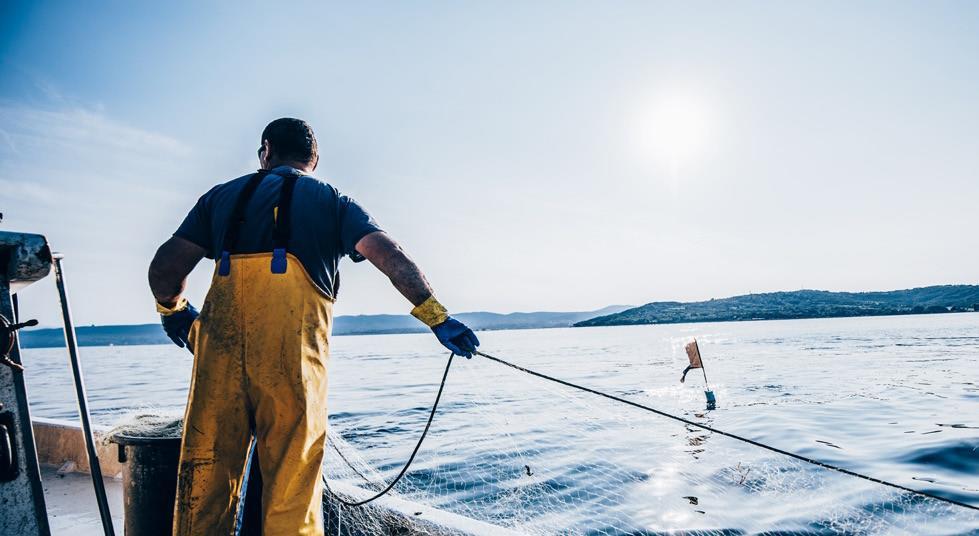 Connectivity Made Simple For Fishing | Sponsored | World Fishing