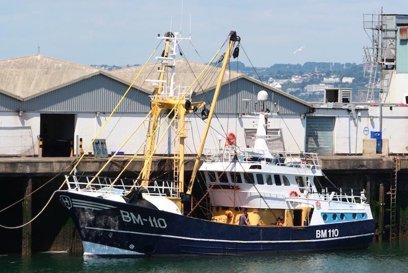 UK fishing fleet turnover reaches GB£1bn | News | World Fishing