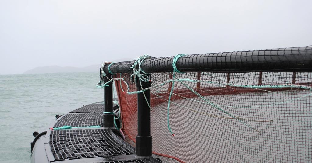 New pens for Cooke Aquaculture Scotland | Conference | World Fishing