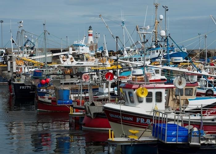 Scottish fishing aid | News | World Fishing