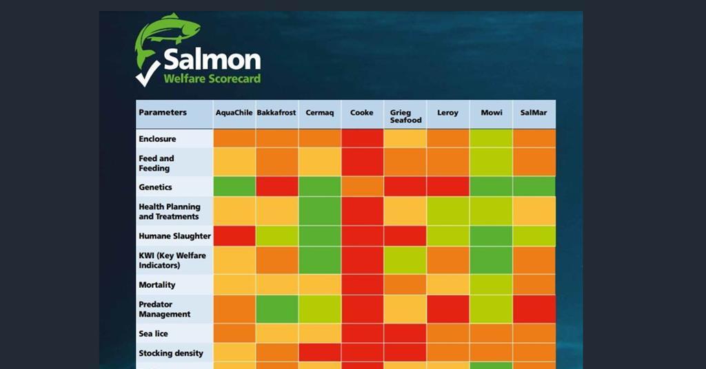 Salmon scorecard tracks fish welfare | News | World Fishing
