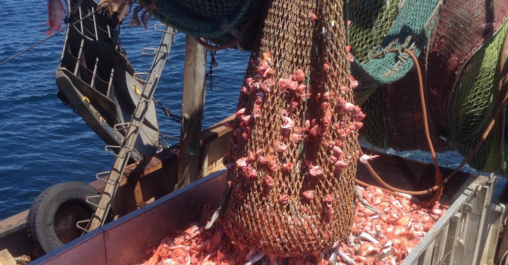 PV3 trawl door redfish fishing trial | News | World Fishing