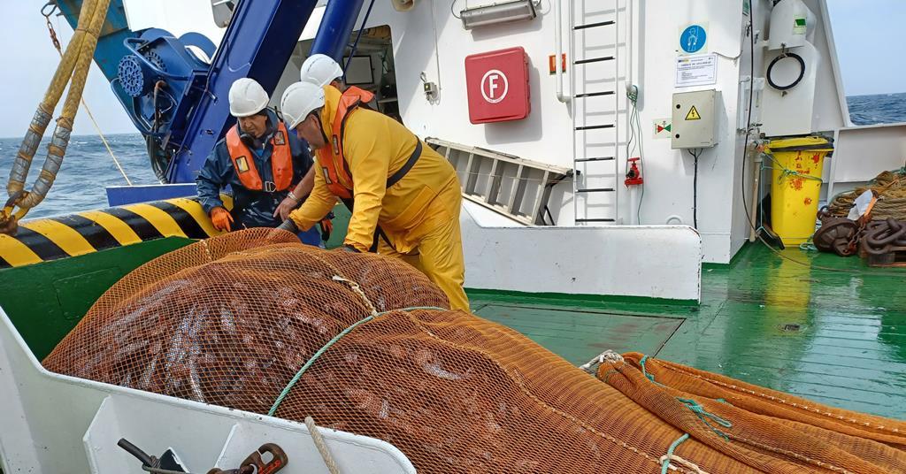 Mackerel spawning habits changing as seas warm | News | World Fishing