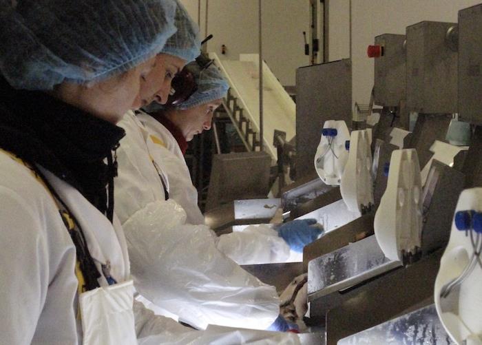 Industry fails on human rights | News | World Fishing