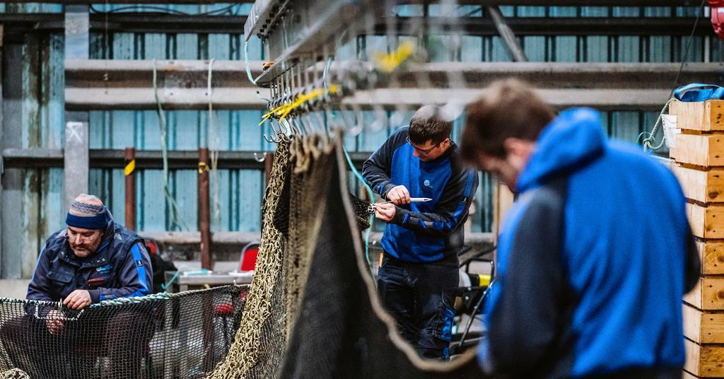 Scottish Sea Farms: Shetland reaping the rewards of integration | News ...