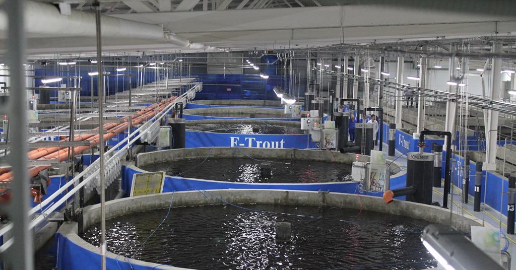 Ukrainian aquaculture – one year on | News | World Fishing