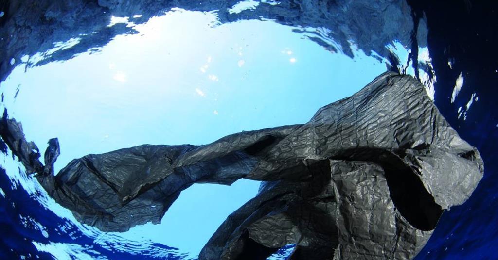 Oceana joins litter research expedition | News | World Fishing