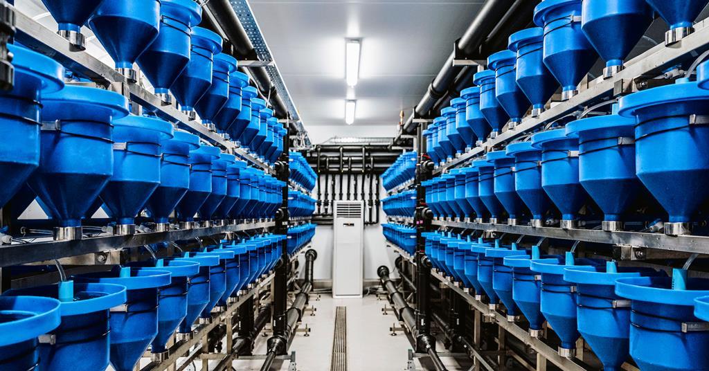 Scottish Sea Farms ‘green’ eggs incubation first | News | World Fishing