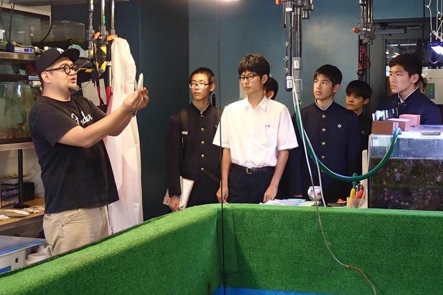 Japan’s squid farming breakthrough | News | World Fishing