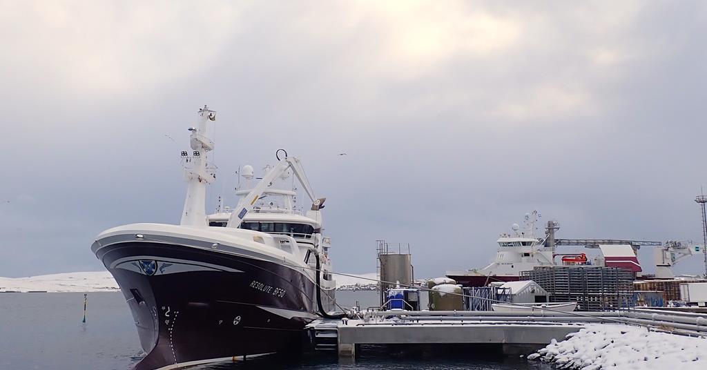 Scottish mackerel in high demand | News | World Fishing