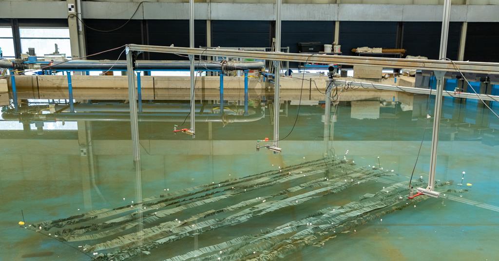 Mapping opportunities for open-ocean seaweed cultivation | News | World ...