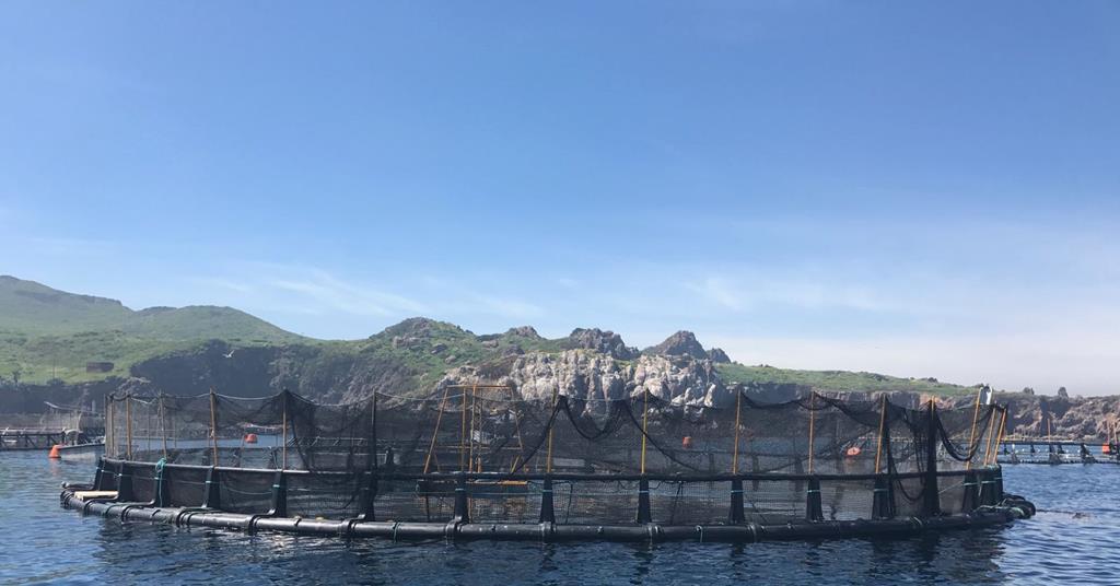 Offshore Mariculture 2017, day four roundup | Conference | World Fishing