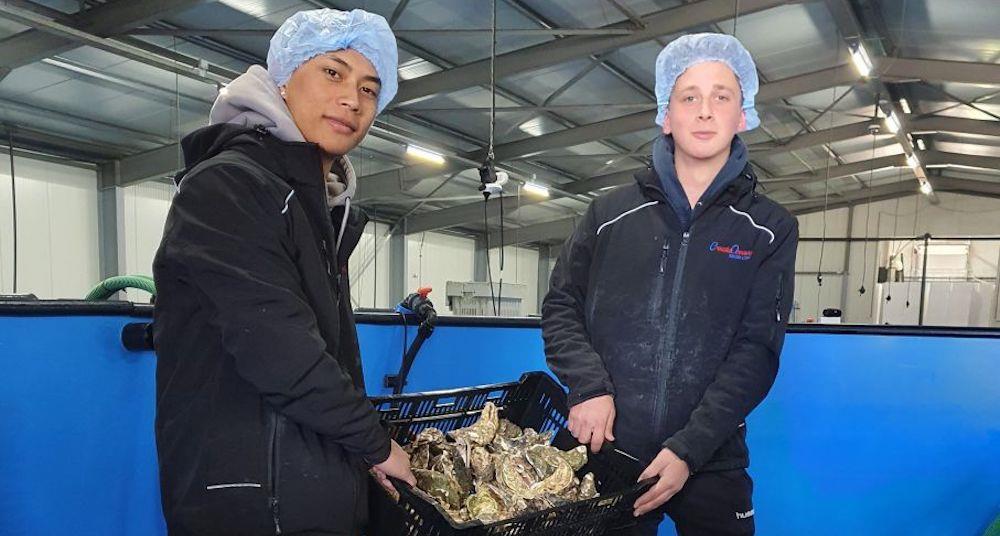 International safety certification for Crusta | News | World Fishing