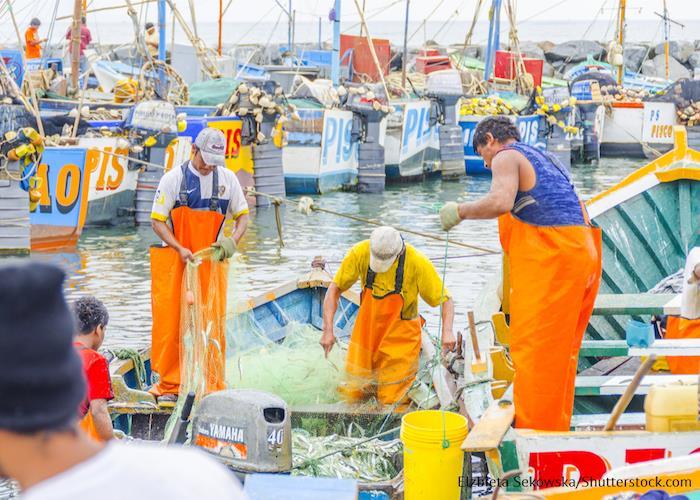 ‘Good progress’ made at SPRFMO annual meeting | News | World Fishing