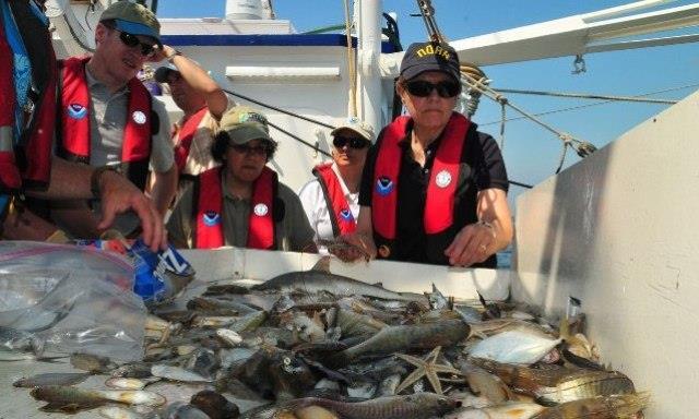 Analysis & Interviews | News | World Fishing