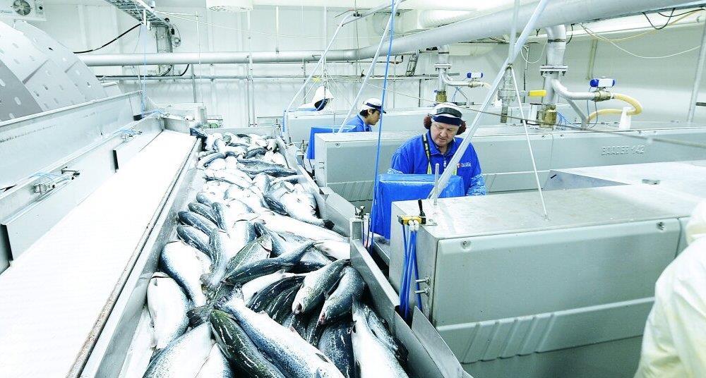 Covid-19: Seafood is safe | News | World Fishing