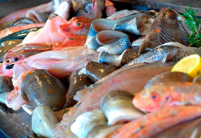 GSA, FishChoice increase FIP traceability | News | World Fishing
