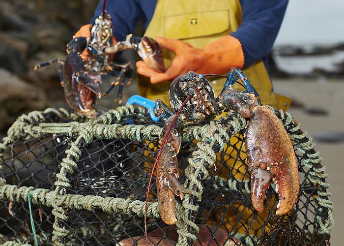 New film depicts value of Welsh fishermen | News | World Fishing