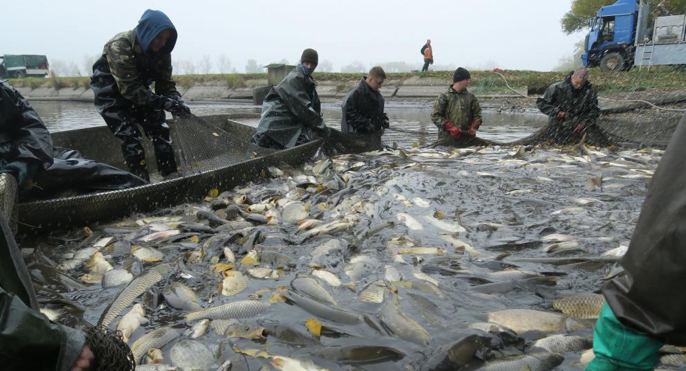EU funding for Slovakia | News | World Fishing