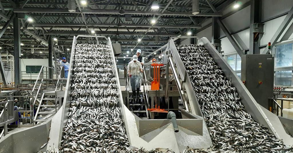 Fish factories focus on high-tech | News | World Fishing