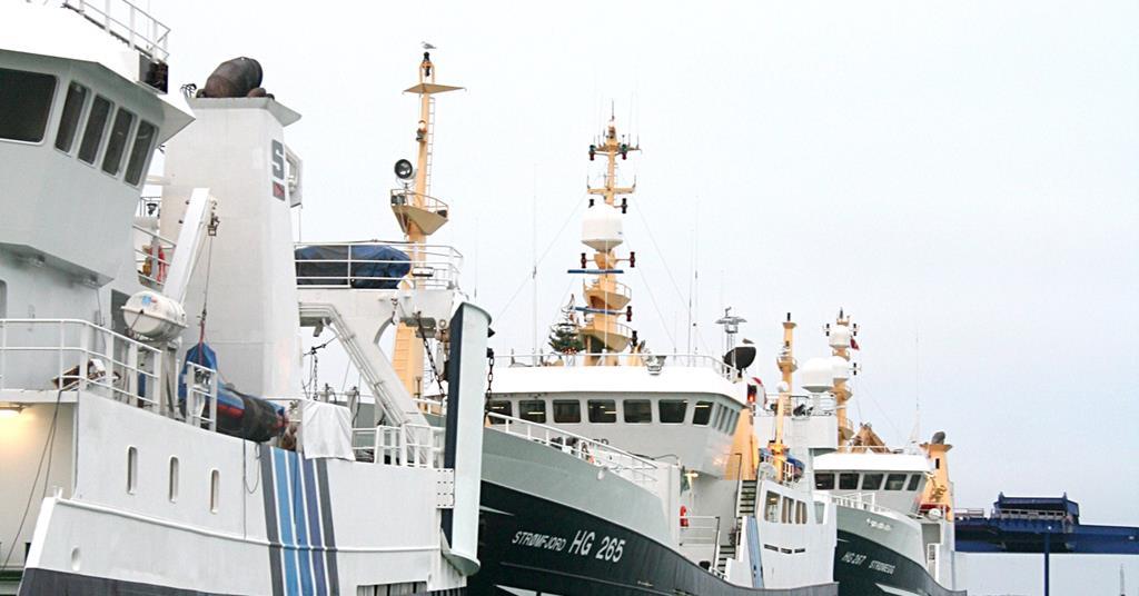 Prices, data and the CFP | News | World Fishing