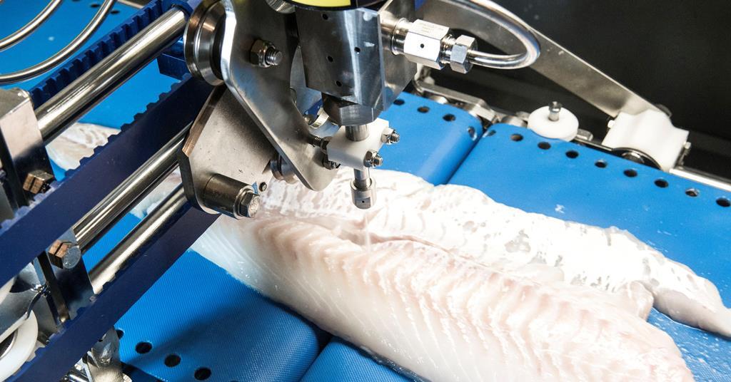 Fish factories focus on high-tech | News | World Fishing