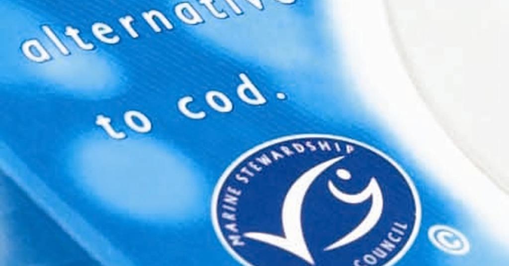 Russian pollock MSC CoC certified | News | World Fishing