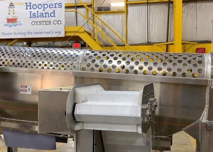 New equipment for shellfish processing | News | World Fishing